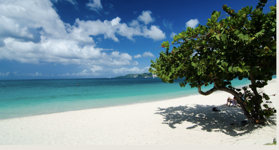 Caricom Neighbours Exclusive - Grenada Travel Expert